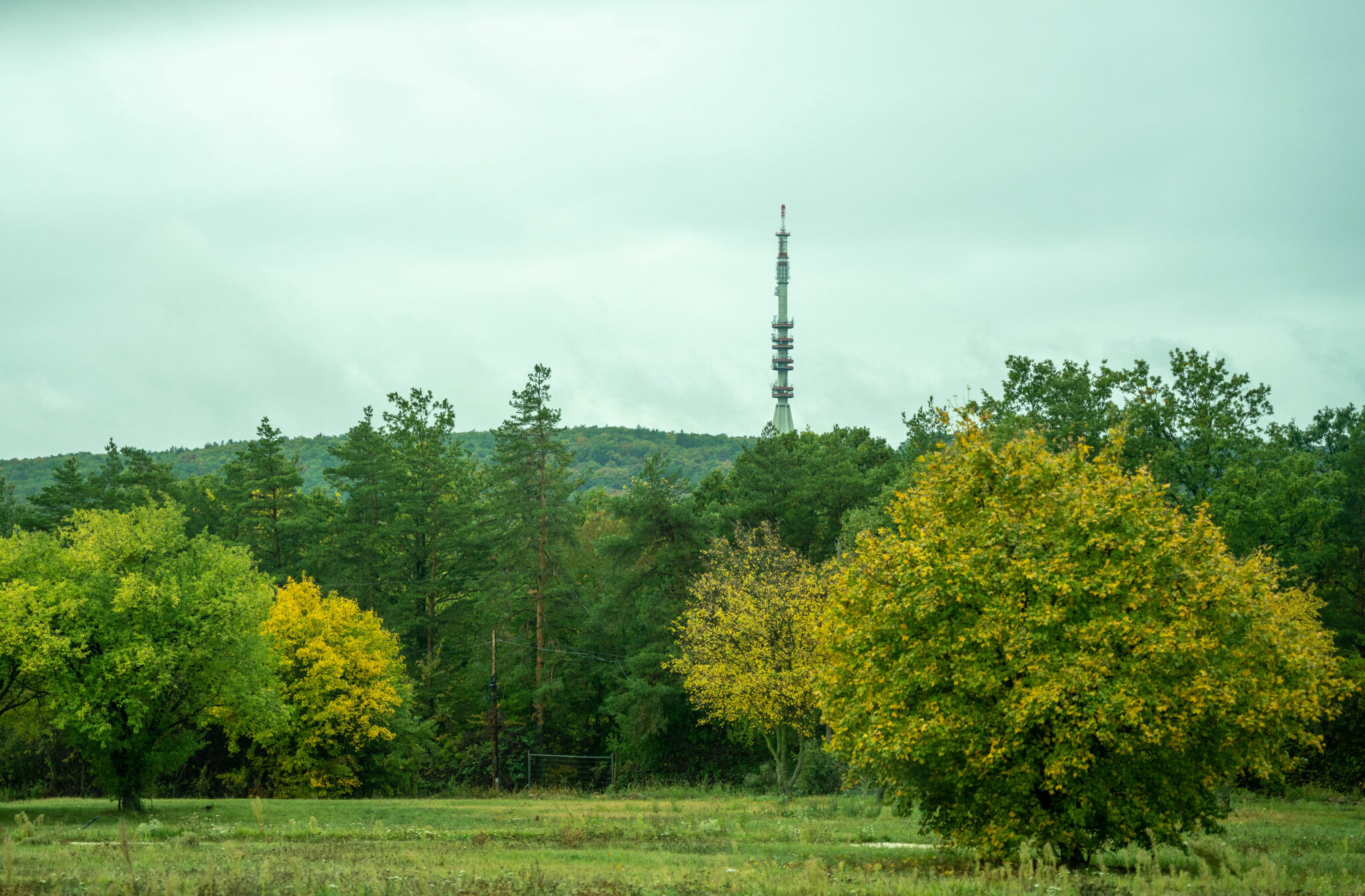 A memorial plaque unveiled on Sopron’s iconic transmission tower - MBT ...